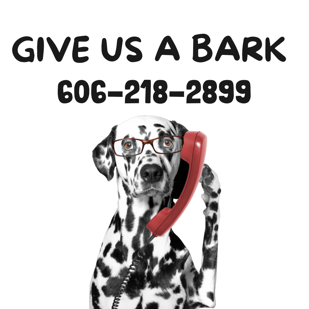 Contact – Bella Pooch